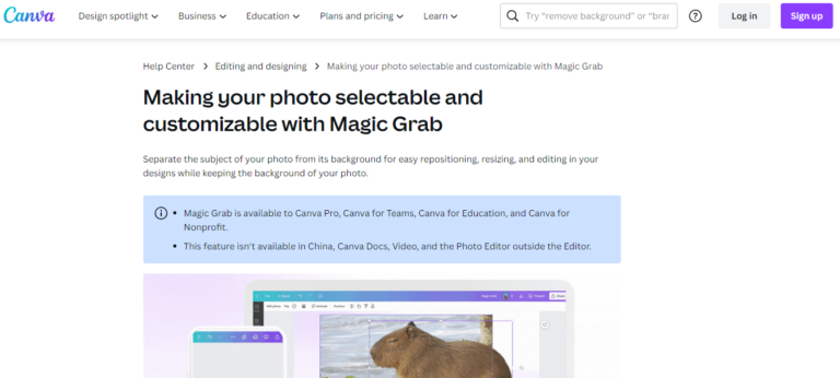 5 Best AI Tools in Canva's Magic Studio You Should Know - The 5 AI Findings