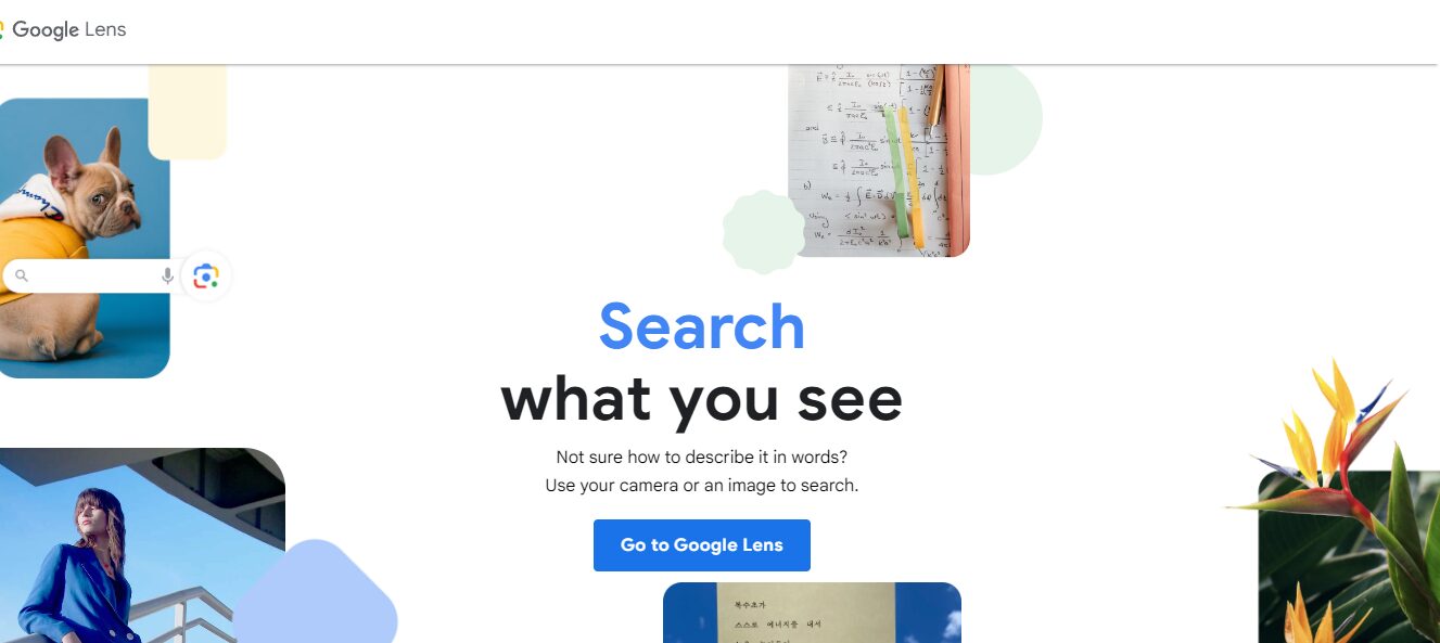 5 AI Tools by Google You Need to Know - The 5 AI Findings